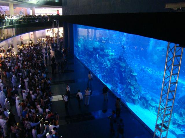 Times Square large aquarium project - Bespoke Aquarium