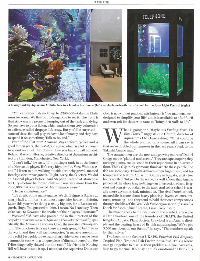 Unusual Fish -Aquarium Architecture - Prospect Magazine