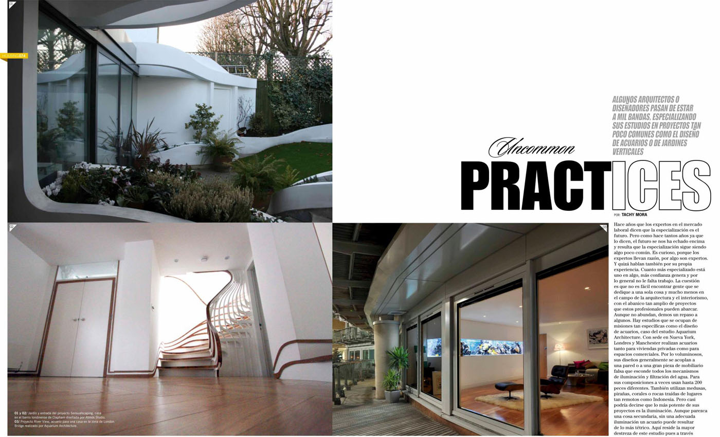 Innovating Fish Tank Set Up - Neo2 Magazine