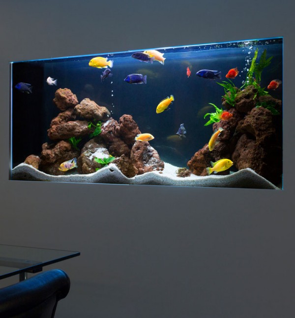 Fish Tank Installation by Aquarium Architecture in Ocean Home