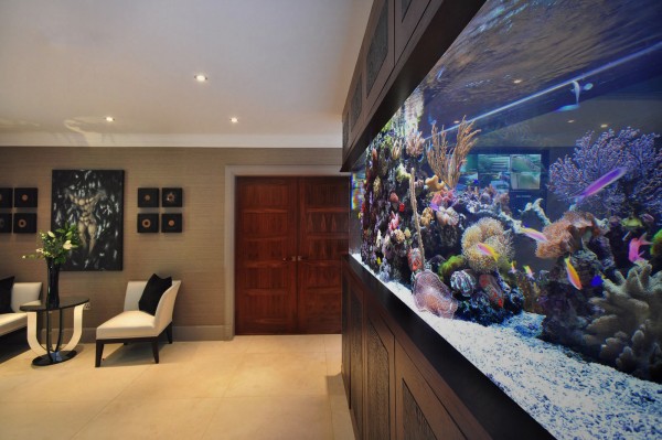 Stephen Ireland's Freestanding Fish Tank | Aquarium Architecture