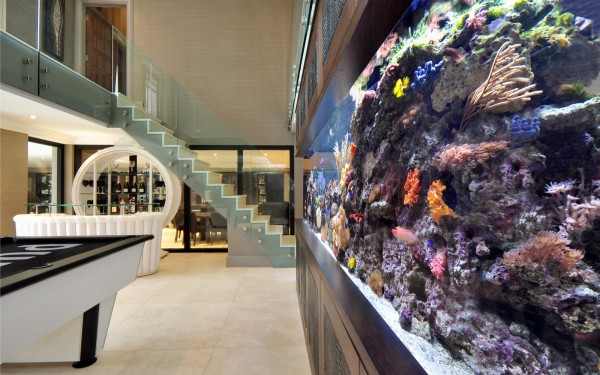 Stephen Ireland's Freestanding Fish Tank | Aquarium Architecture