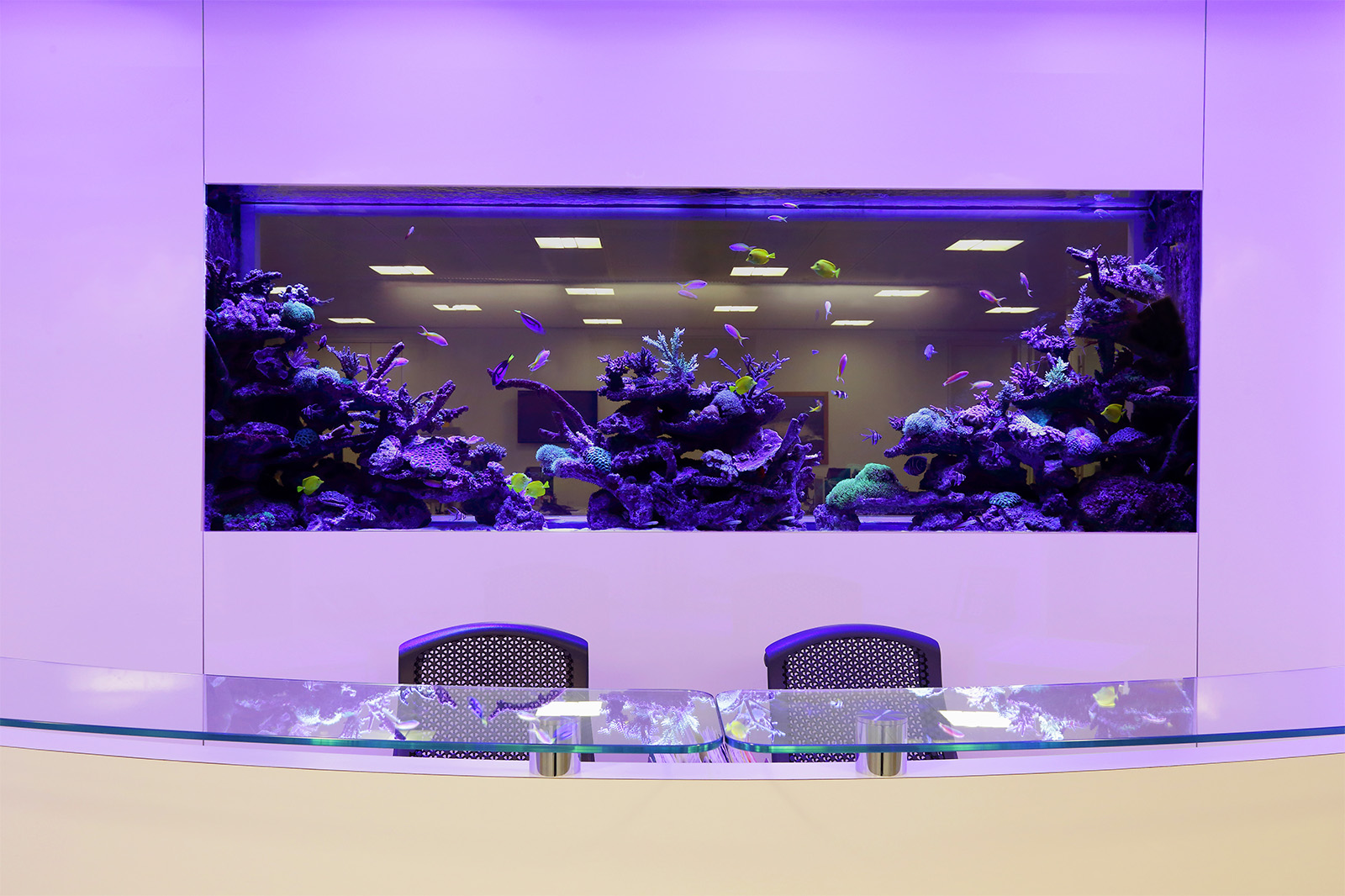 Office Aquarium - Aquarium Architecture
