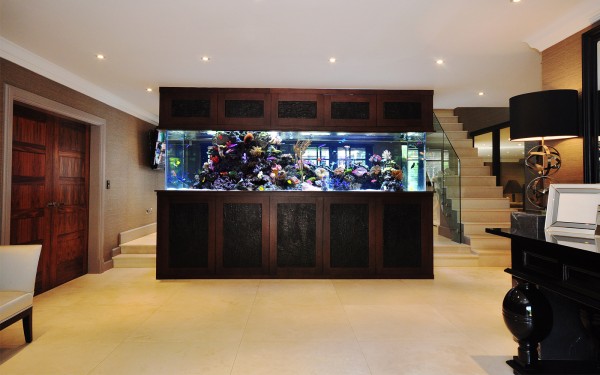 Stephen Ireland's Freestanding Fish Tank | Aquarium Architecture