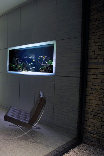 Aquarium Designs - In Wall Aquariums | Free Standing Tanks