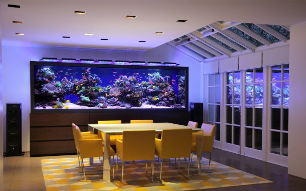 Fish Tank Design for Luxury Townhouse in London