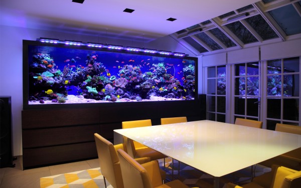 Fish Tank Design for Luxury Townhouse in London