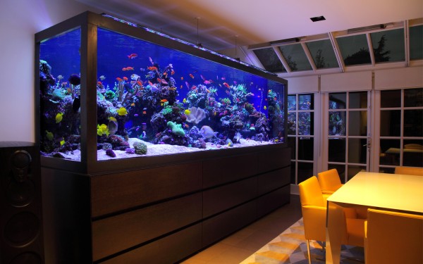 Fish Tank Design for Luxury Townhouse in London