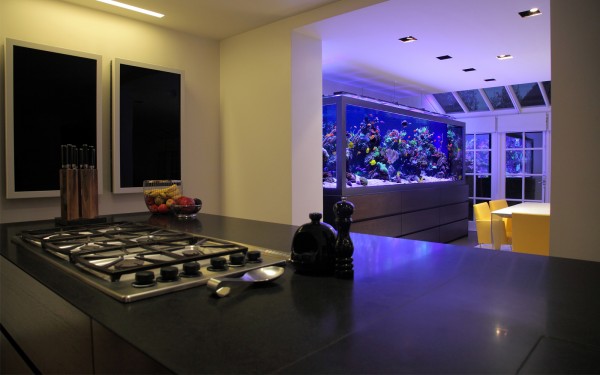 Fish Tank Design for Luxury Townhouse in London