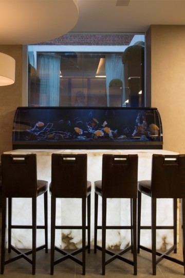 Aquarium Designs - In Wall Aquariums | Free Standing Tanks