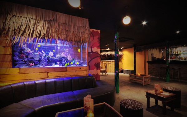 Bar Aquarium | Manchester | Aquarium Architecture