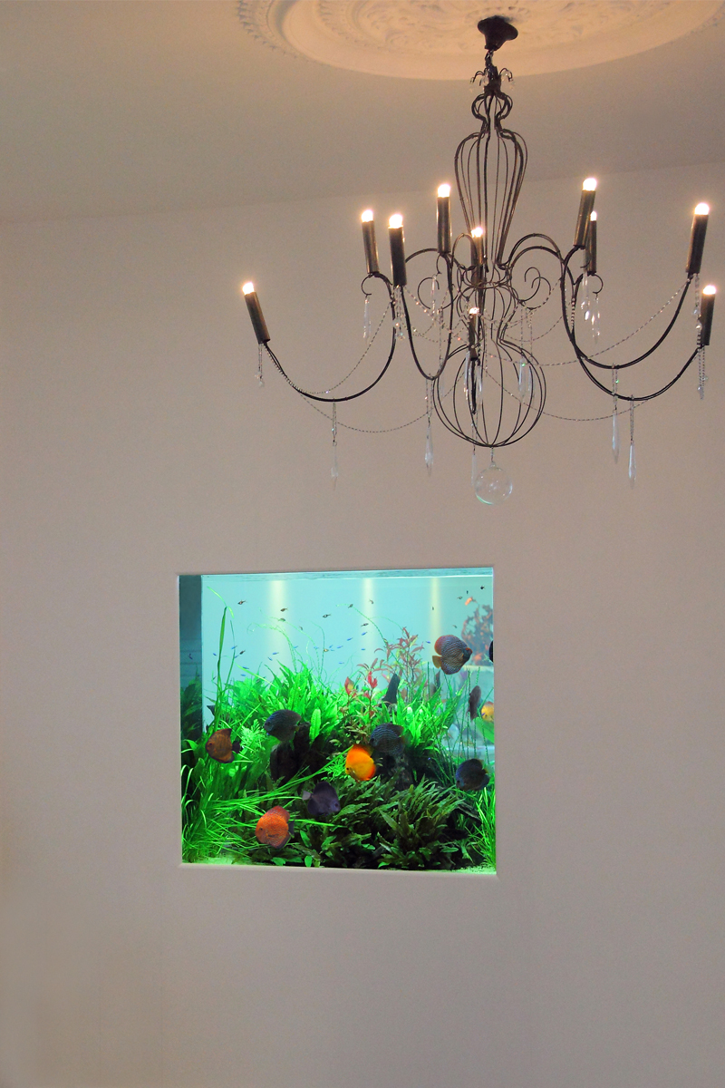 Villa Riviera - Aquarium Architecture