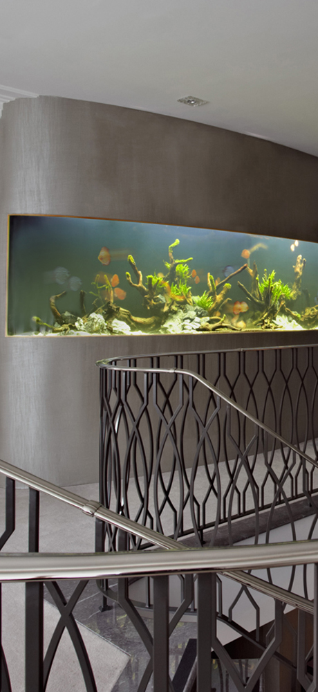 Curved Fish Tank | Aquarium Architecture
