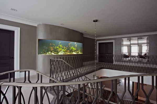 Curved Fish Tank | Aquarium Architecture