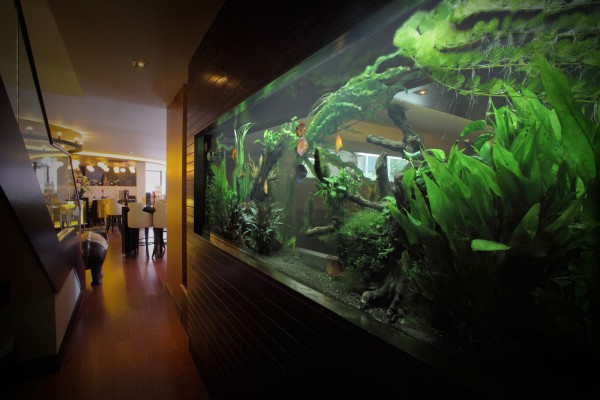 Tropical Fish Tank Thai Restaurant | Aquarium Architecture