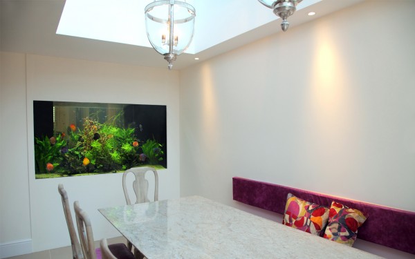 Stylish Fish Tank Design | Aquarium Architecture