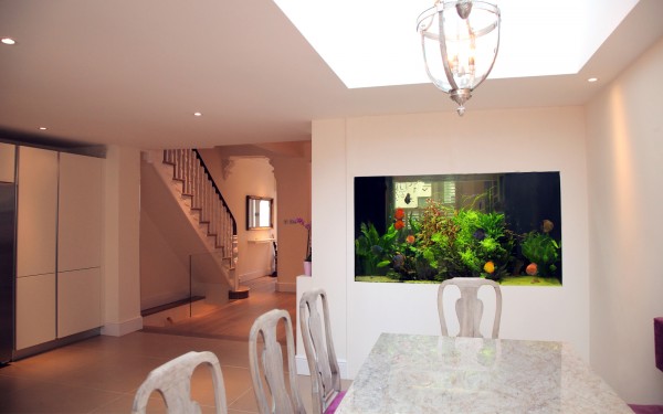 Stylish Fish Tank Design | Aquarium Architecture