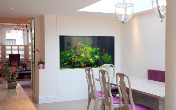 Stylish Fish Tank Design | Aquarium Architecture
