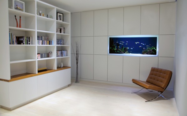 Minimalist Aquarium Design | Aquarium Architecture