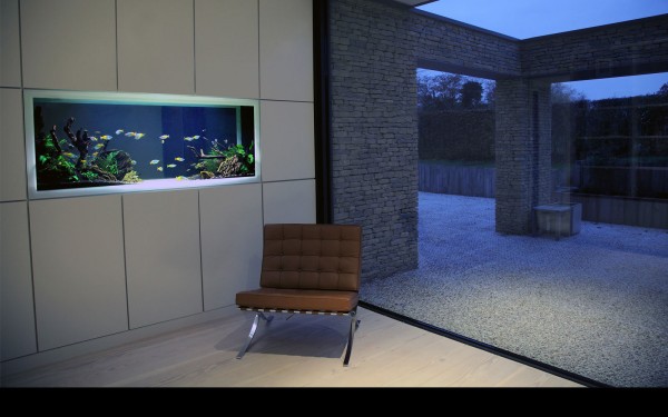 Minimalist Aquarium Design | Aquarium Architecture