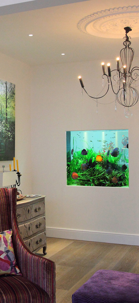 Stylish Fish Tank Design | Aquarium Architecture