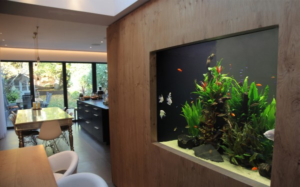 Freshwater Fish Tank Design | Aquarium Architecture