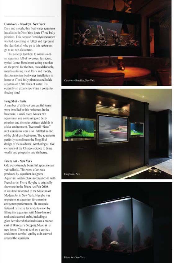 Custom Modern Fish Tanks | Ocean View Magazine