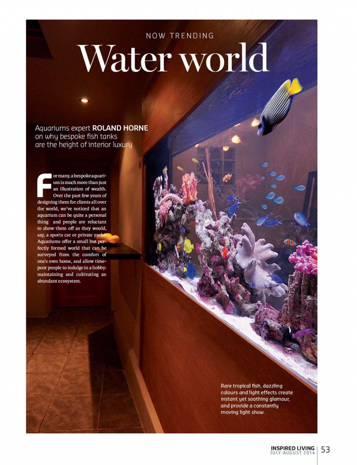 Now Trending: Designer Fish Tanks | Aquarium Architecture