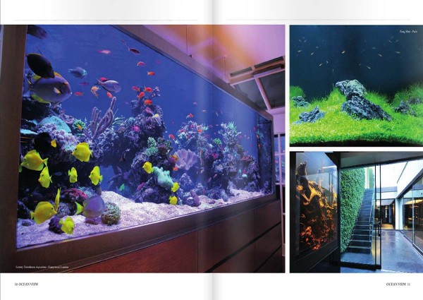 Custom Modern Fish Tanks | Ocean View Magazine