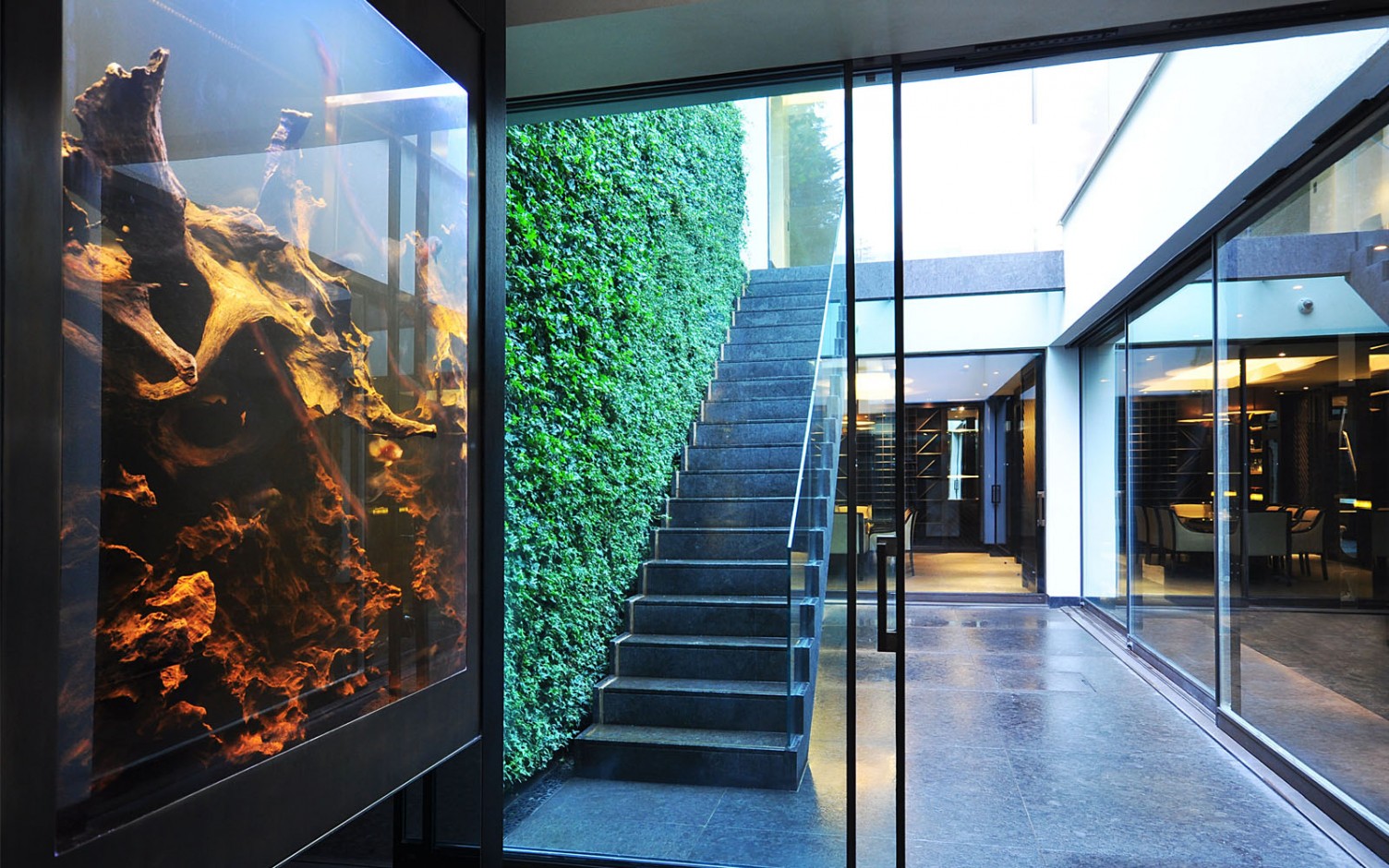 Cool Fish Tanks in Esquire UK | Aquarium Architecture