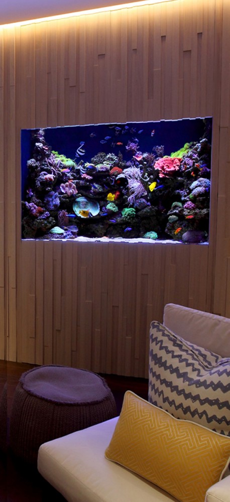 Aquarium Designs Ideas - Aquarium Architecture - London, UK - NYC