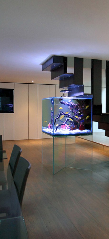 Aquarium Designs Ideas - Aquarium Architecture - London, UK - NYC