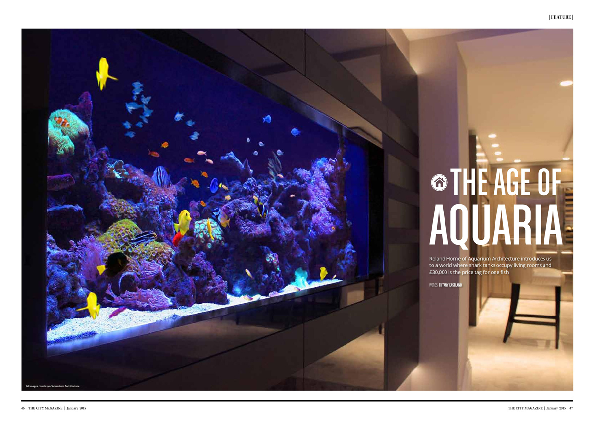 International aquarium design | The City Magazine