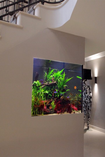 Luxury Aquarium Design for Residential and Commercial Premises