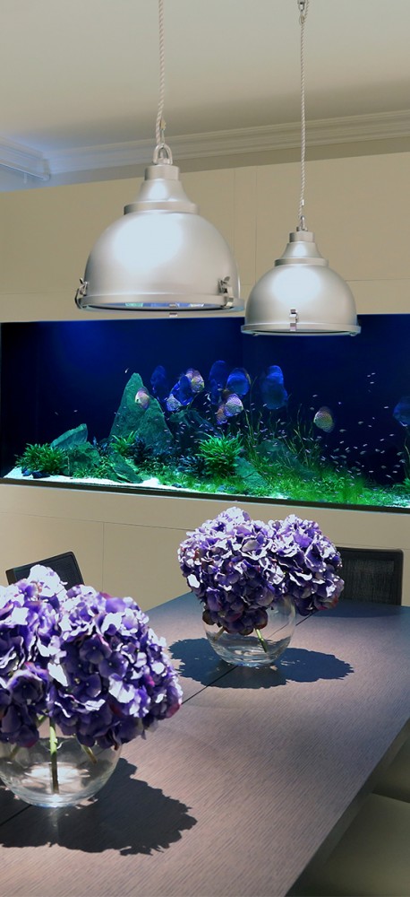 Aquarium Designs Ideas - Aquarium Architecture - London, UK - NYC