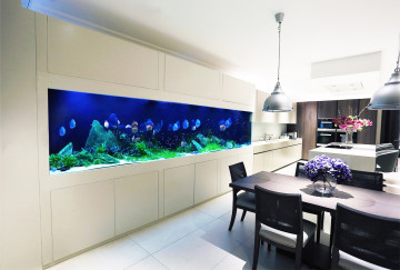 Expensive Fish Tanks