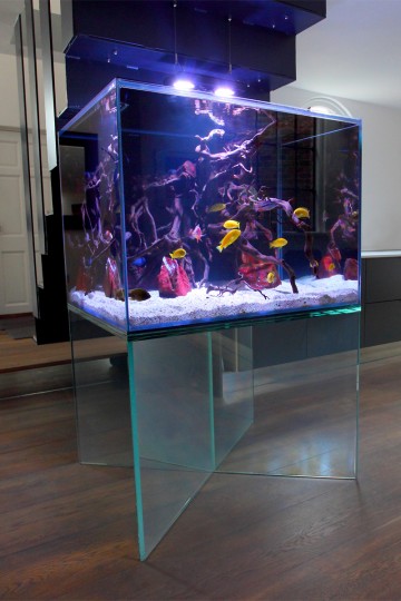 Industry Leaders in Luxury Fish Tanks | Aquarium Architecture