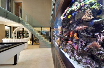 Luxury Aquarium Design for Residential and Commercial Premises