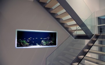 Modern Aquariums designed by Aquarium Architecture