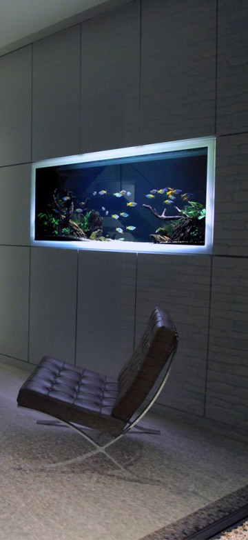 Contemporary Aquarium Design - Aquarium Architecture