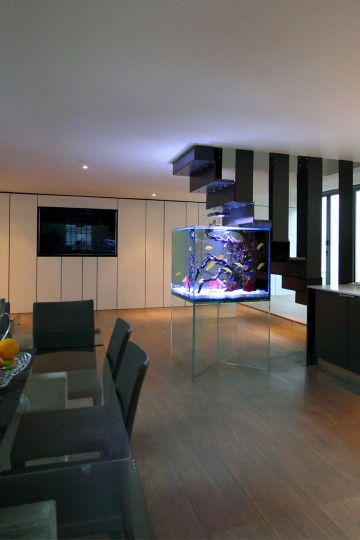 Aquarium Design Manchester - Aquarium Architecture