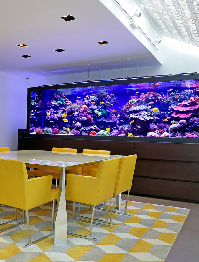 Aquarium Architecture | Blog | Luxury Custom Fish Tanks | Custom Made ...