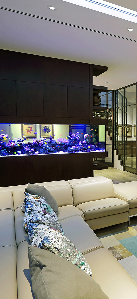Modern Aquarium Installation - Aquarium Architecture