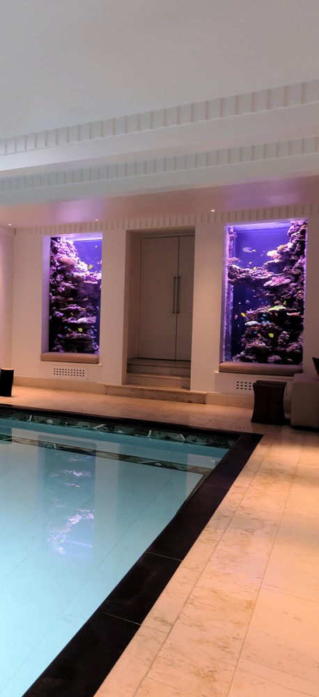 Aquarium Designs Ideas - Aquarium Architecture - London, UK - NYC